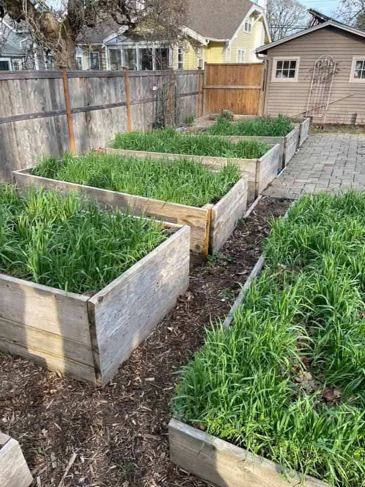The Complete Crop Rotation Chart for Home Gardeners